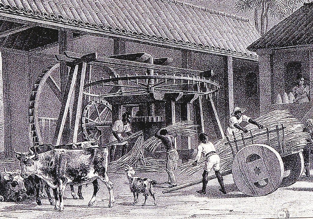 Os Engenhos – Museu do Açúcar e Doce